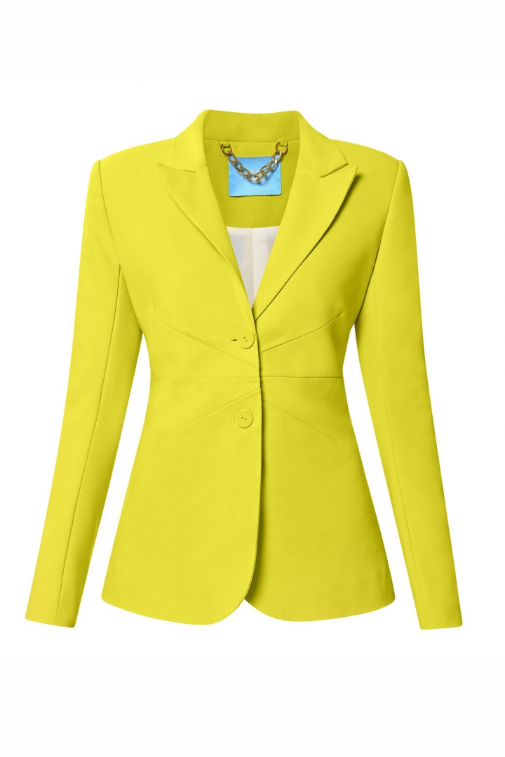 Ladies Fitted Suit Jacket at Bobby Flores blog